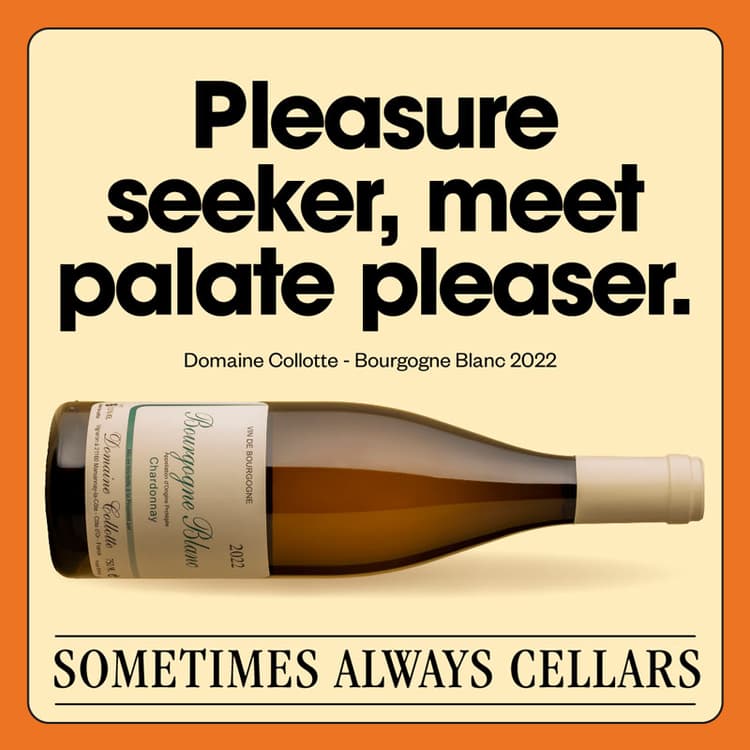 Catalog Ads that is building your brand - Confect.io